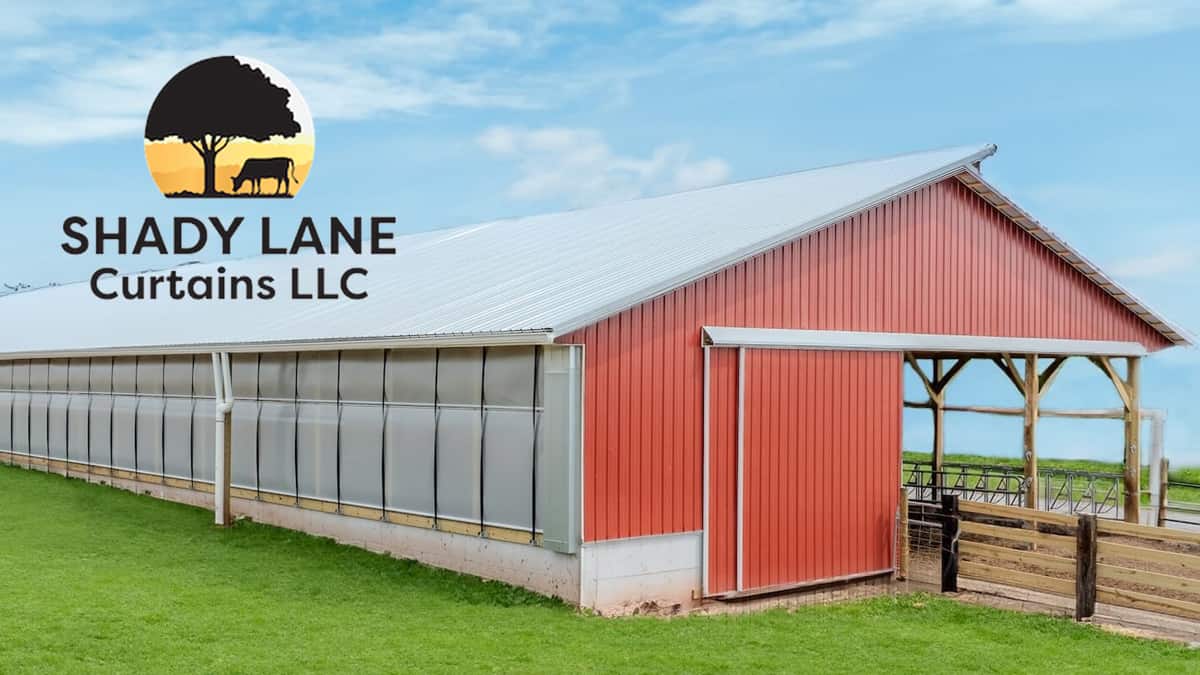 Reducing Livestock Heat Stress with Barn Curtain Systems - Shady Lane ...